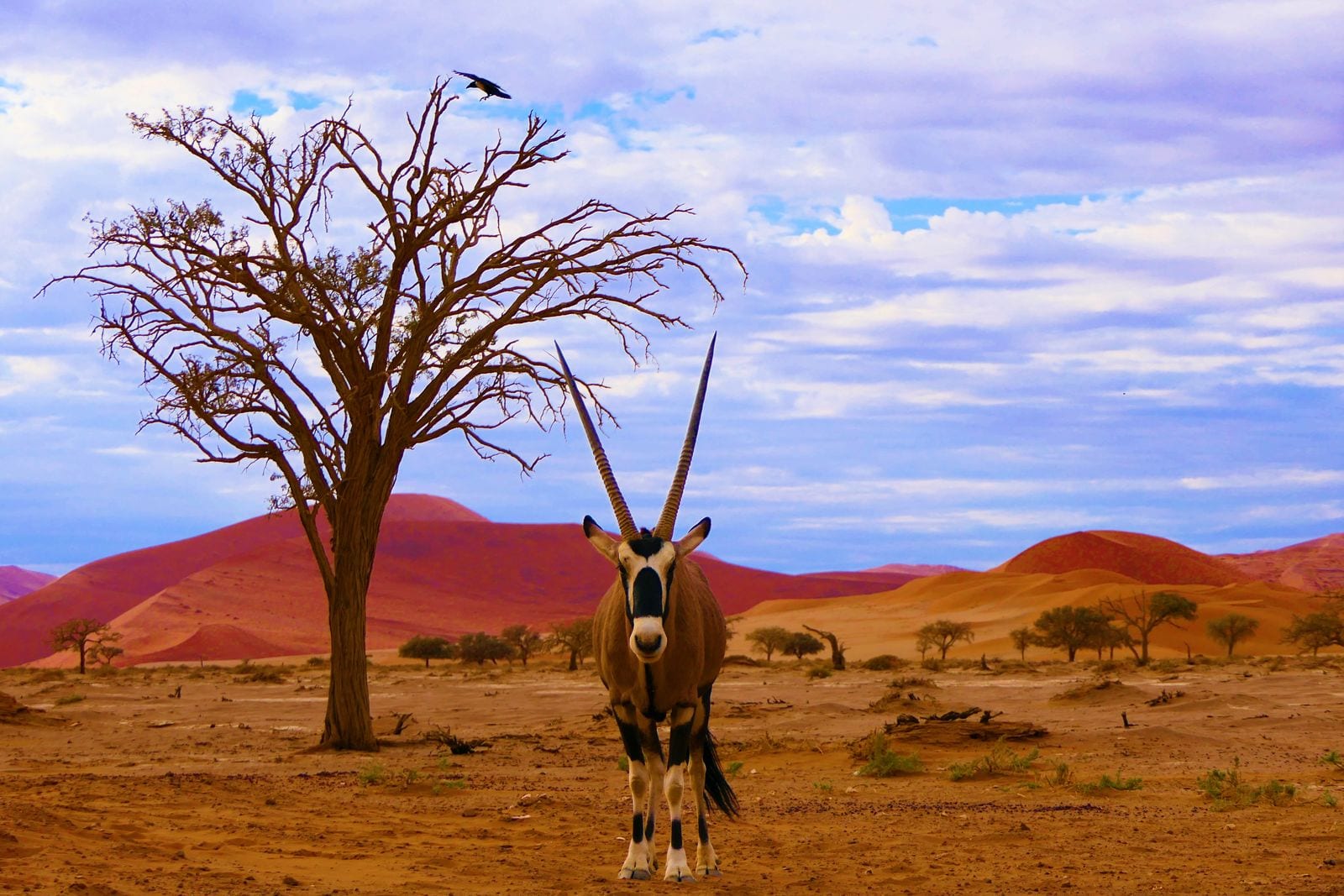 5 Off-the-beaten track natuurgebieden van Afrika - The Outdoors
