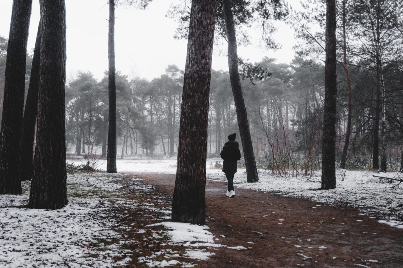 Rondstruinen in natuurgebied Surae (Boswachterij Dorst) - The Outdoors