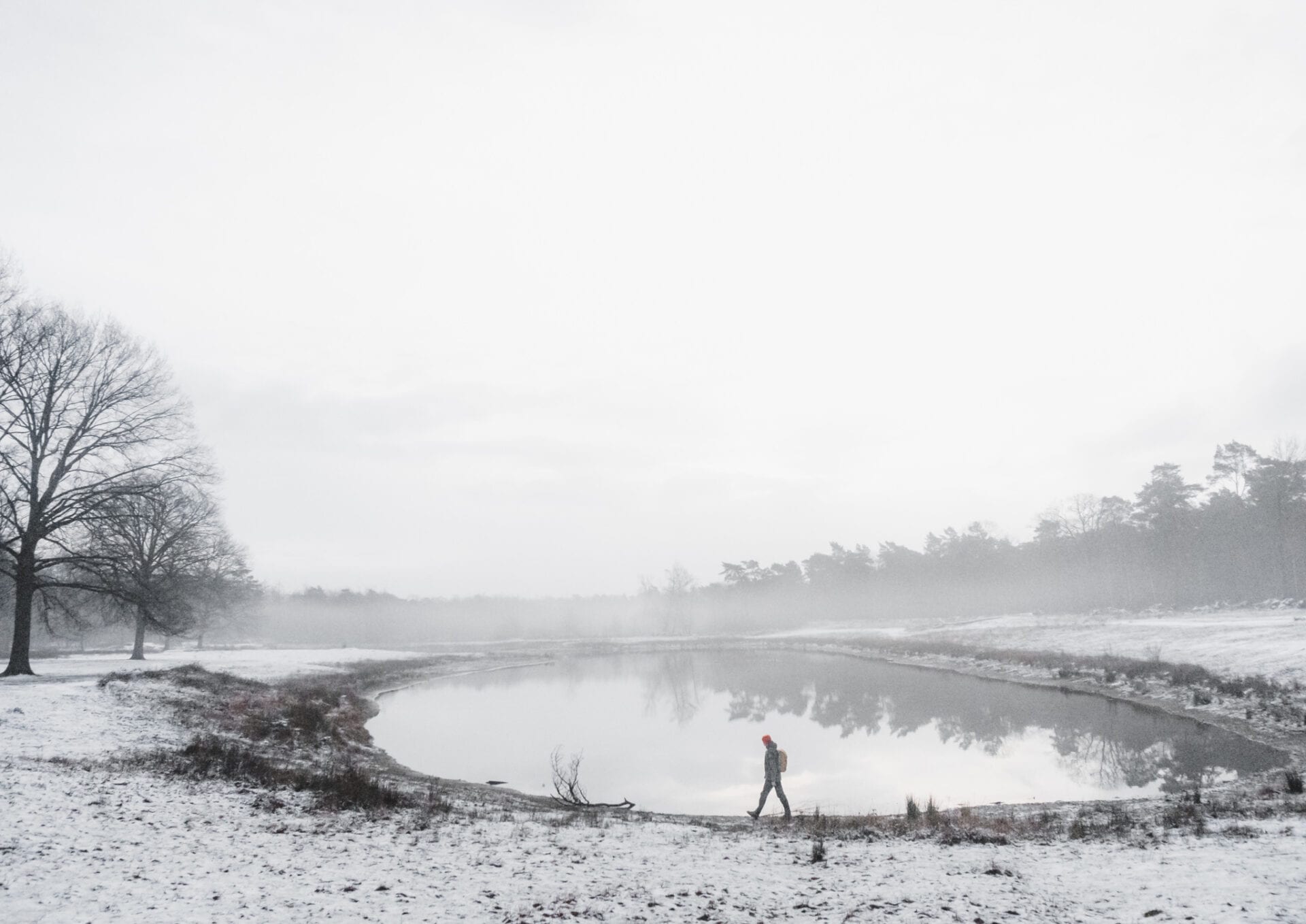 Rondstruinen in natuurgebied Surae (Boswachterij Dorst) - The Outdoors