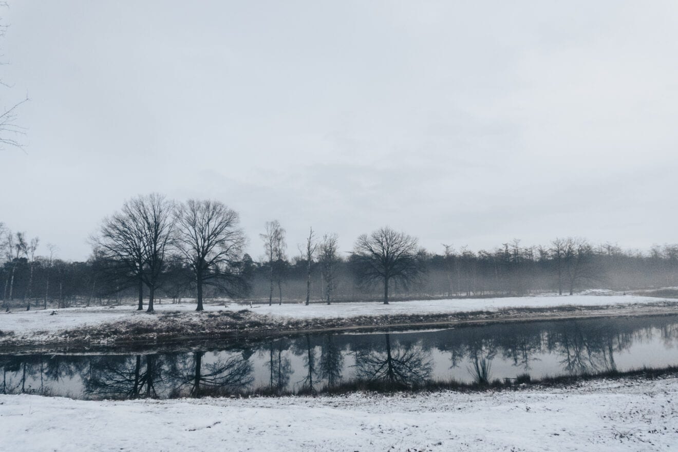 Rondstruinen in natuurgebied Surae (Boswachterij Dorst) - The Outdoors