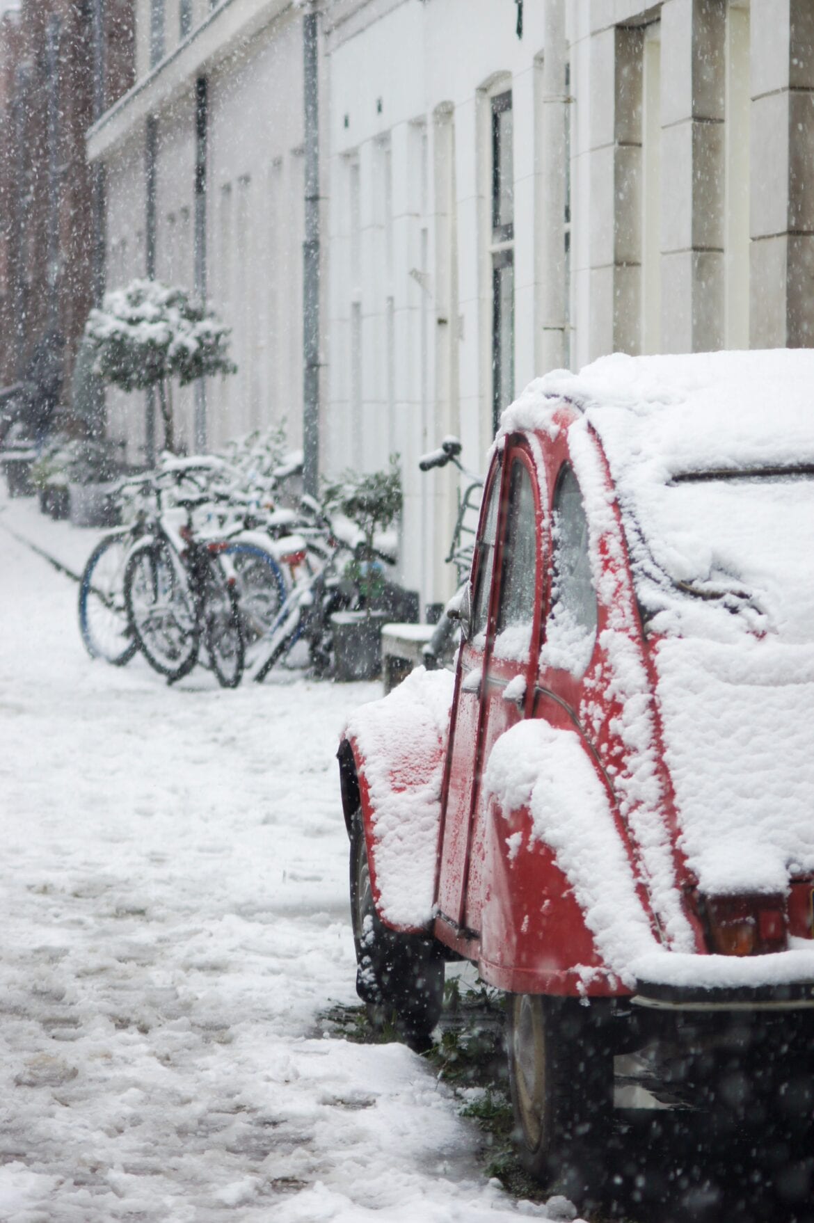 Sneeuw feitjes! Dit is alles wat je over sneeuw wilt weten en meer