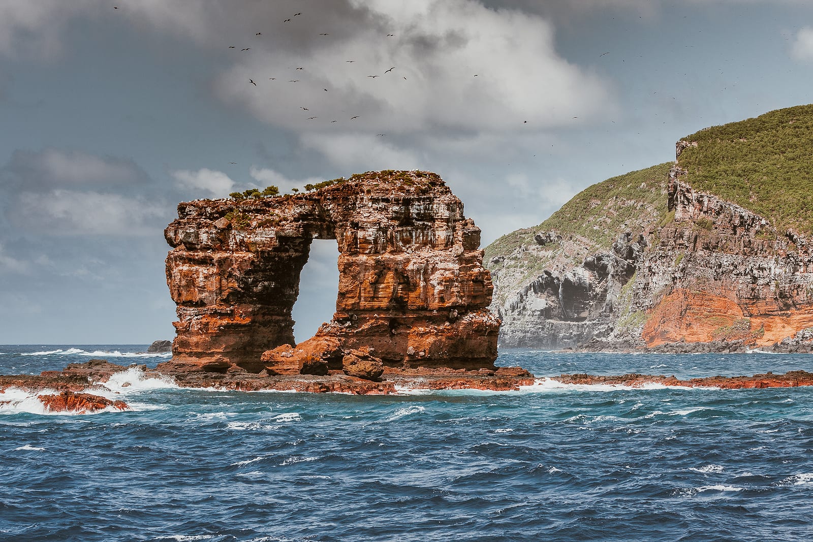 Iconische Darwin’s Arch op Galapagoseilanden ingestort - The Outdoors