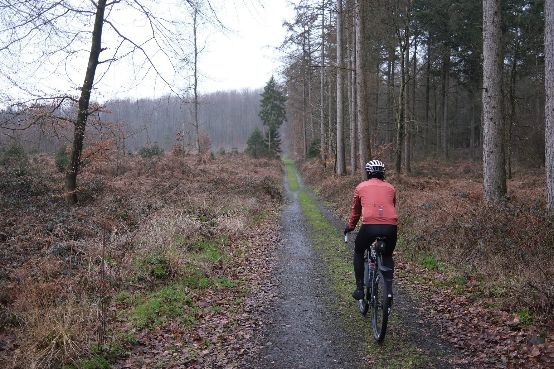 Gravelroute Nijmegen (51,6 km) | The Bike