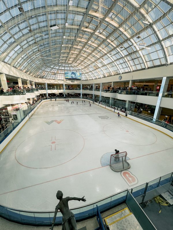 Edmonton: alles wat je wil weten over de outdoorstad van Alberta