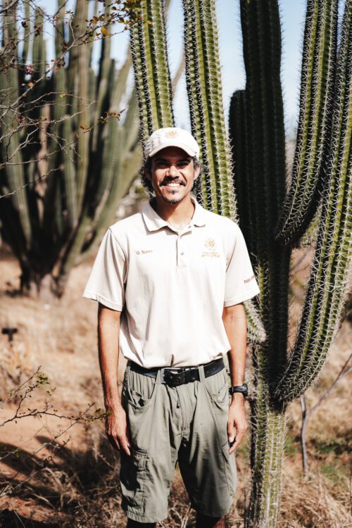Aruba en het geheim achter de stralende kustlijn - The Outdoors