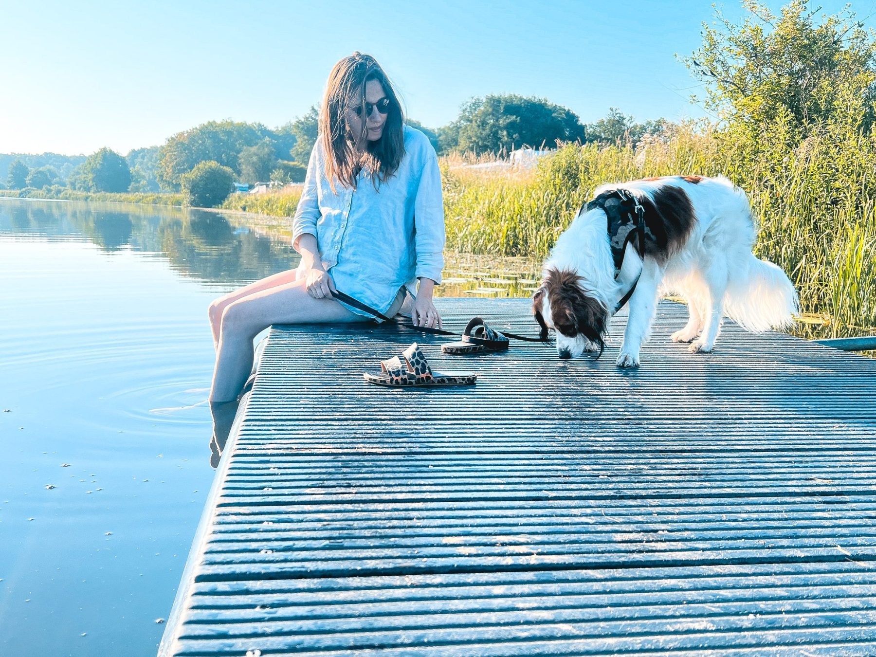 Camping de Roos is de mooiste plek in Nederland voor glampen & campen