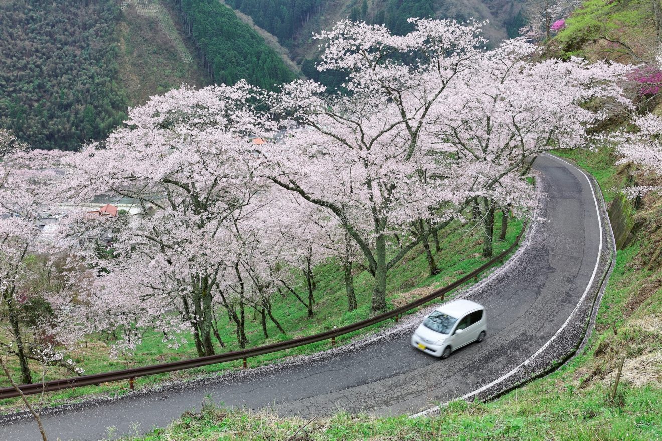 Deze epische Japan roadtrips wil je op je bucketlist - The Outdoors