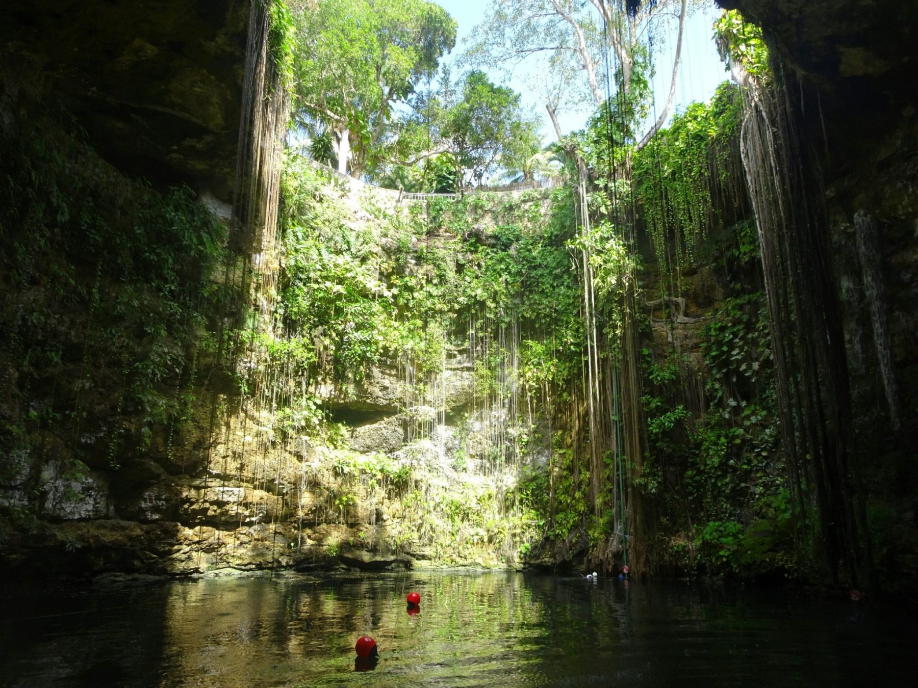 Wat is een cenote en wat zijn de mooiste? - The Outdoors