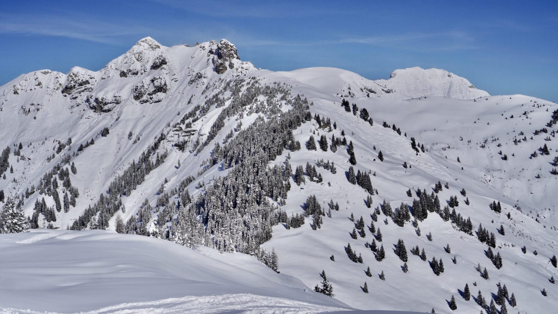 Grossarl, dat wil je niet missen - The Outdoors