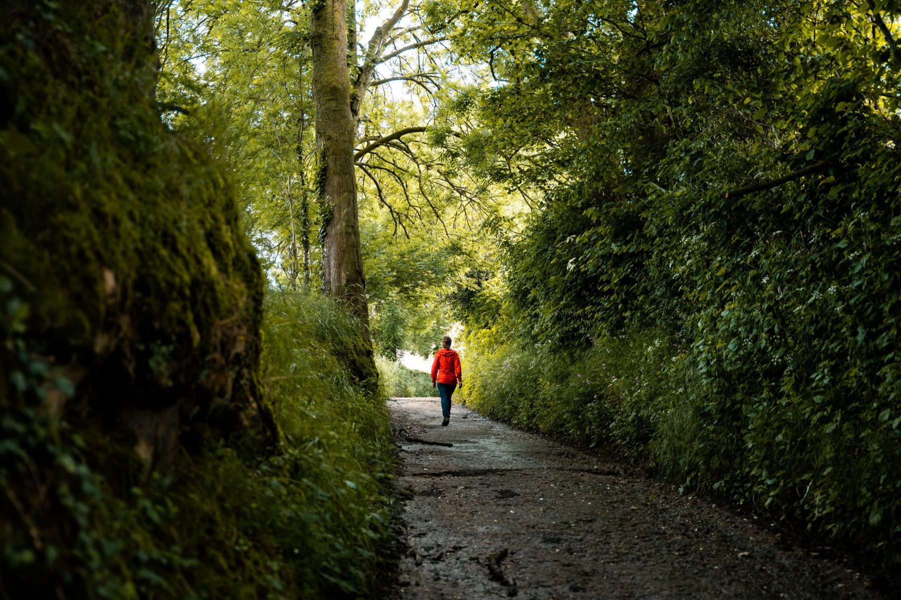 Tussen heuvels en grotten; Zuid-Limburg is een stukje buitenland in ...