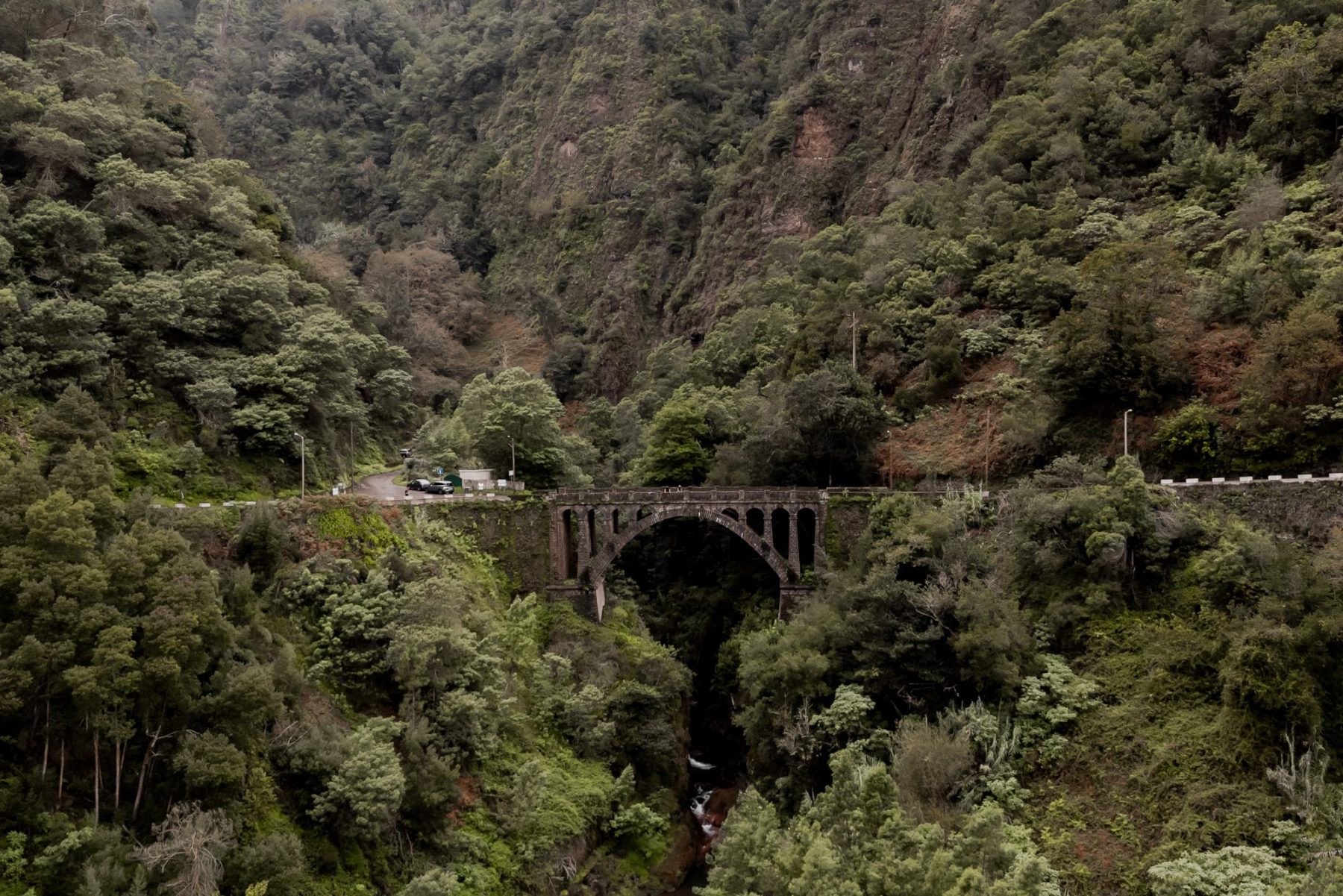 Bezienswaardigheden op Madeira: dit zijn dé highlights