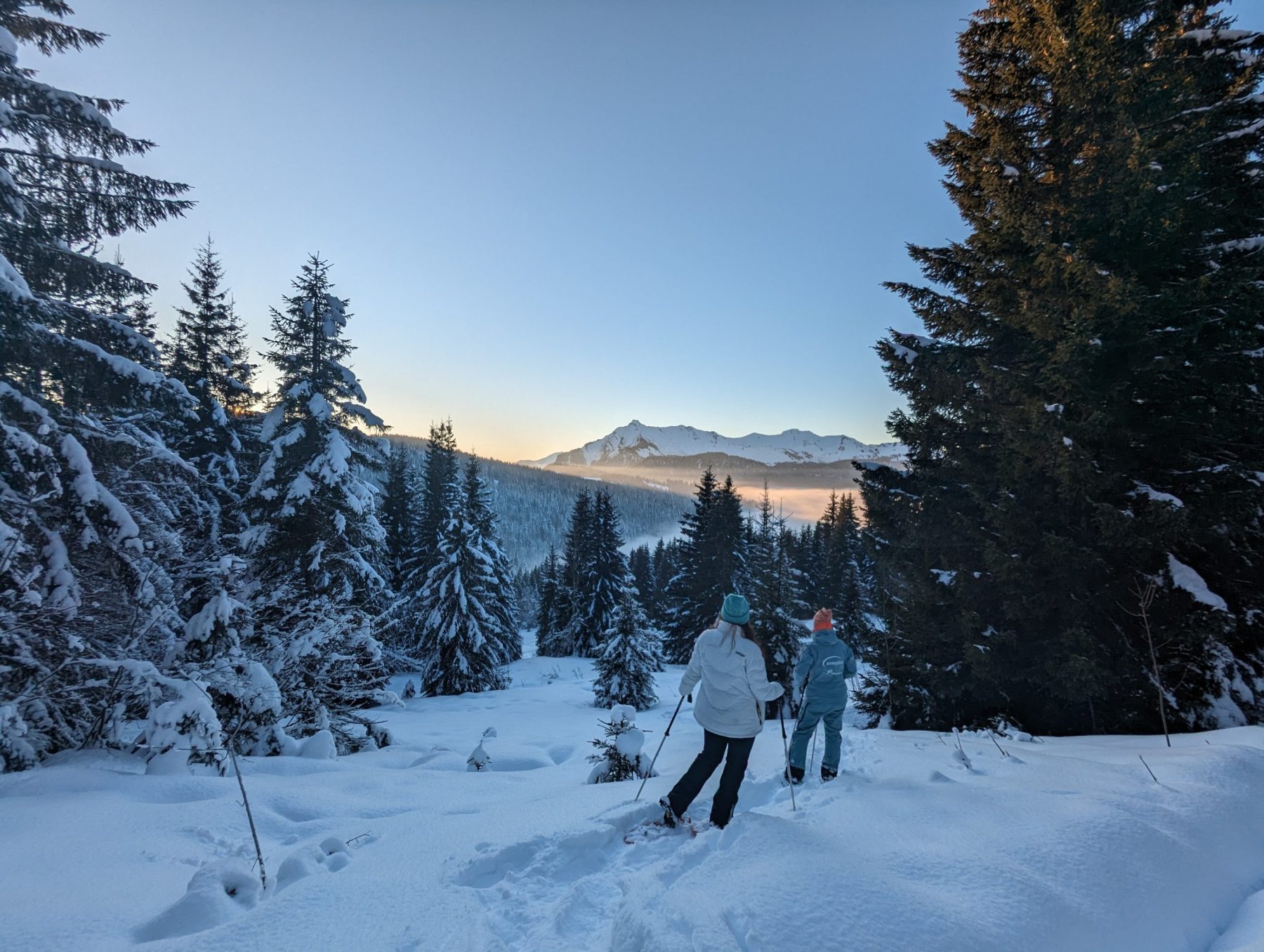 Snowshoe hikes in Châtel en Les Gets zijn zeker de moeite waard - The Hike