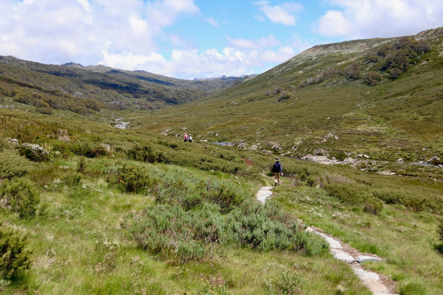 Alles over de thru-hike van Australië: Australian Alps Walking Track ...